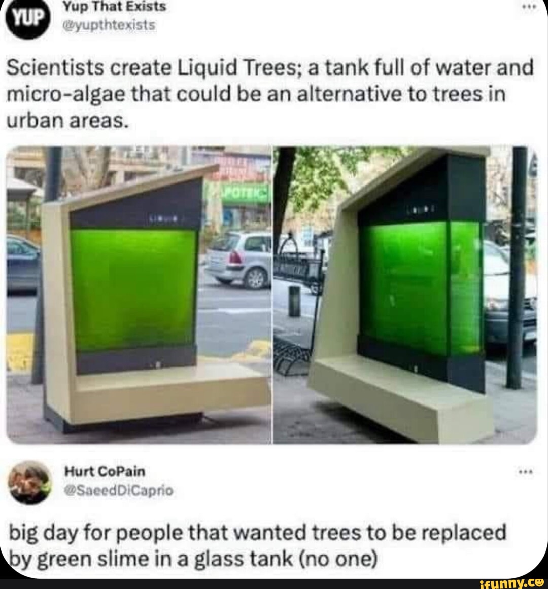 Algae memes. Best Collection of funny Algae pictures on iFunny