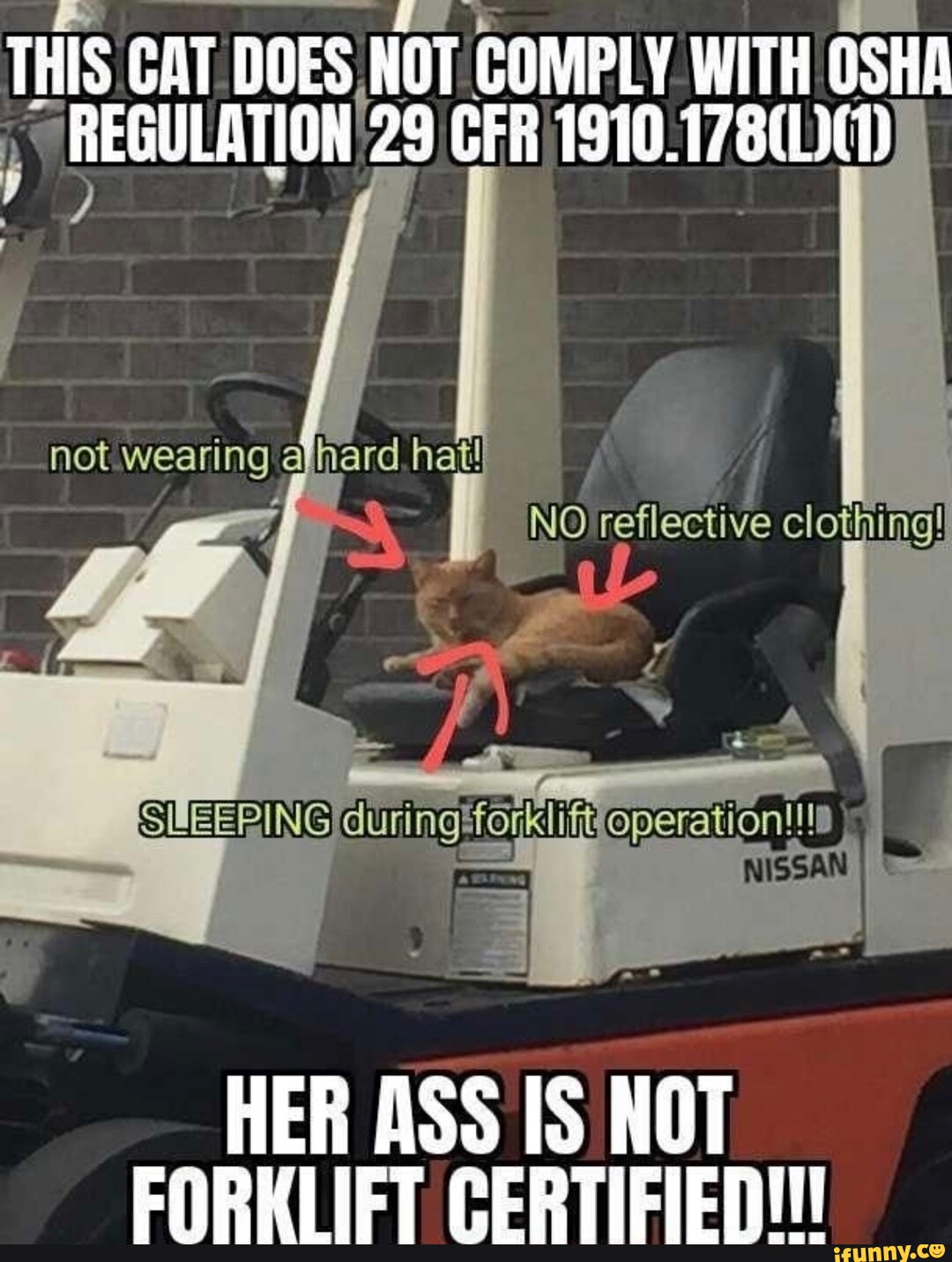 THIS CAT DOES NOT COMPLY WITH OSHA REGULATION 29 CFR 181.780D not ...