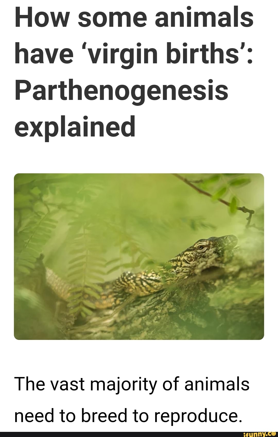 How some animals have 'virgin births': Parthenogenesis explained The ...