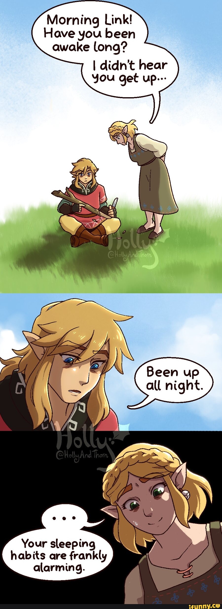 Morning Link! Have you been awake long? I didn't hear you get up ...