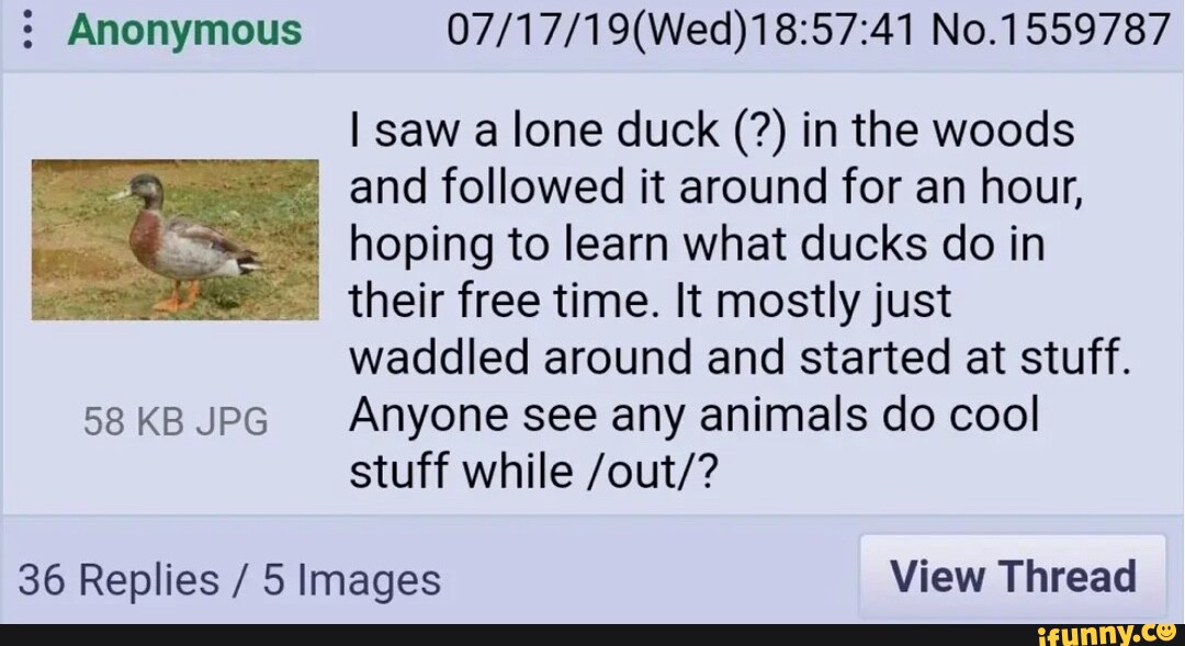 Waddled memes. Best Collection of funny Waddled pictures on iFunny