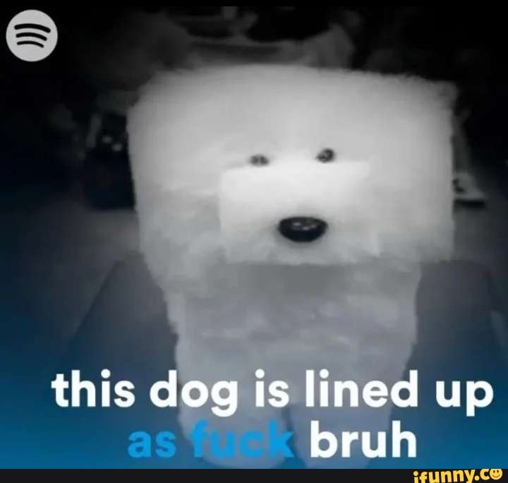 This dog is lined up bruh - iFunny