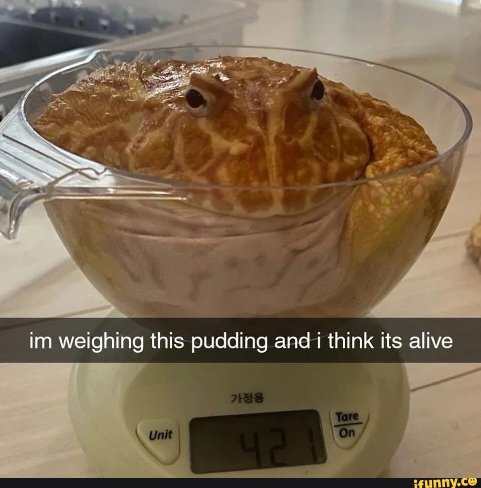 MEME RANKING SOMEONE JUST DIED - iFunny