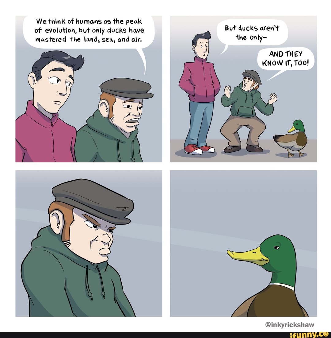 Inky_rickshaw memes. Best Collection of funny Inky_rickshaw pictures on ...