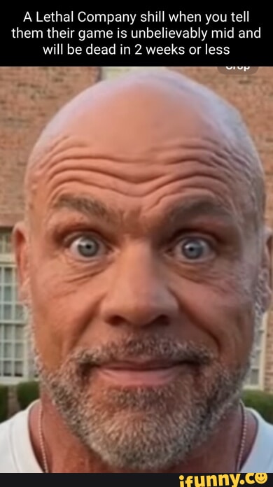 A Lethal Company shill when you tell them their game is unbelievably ...