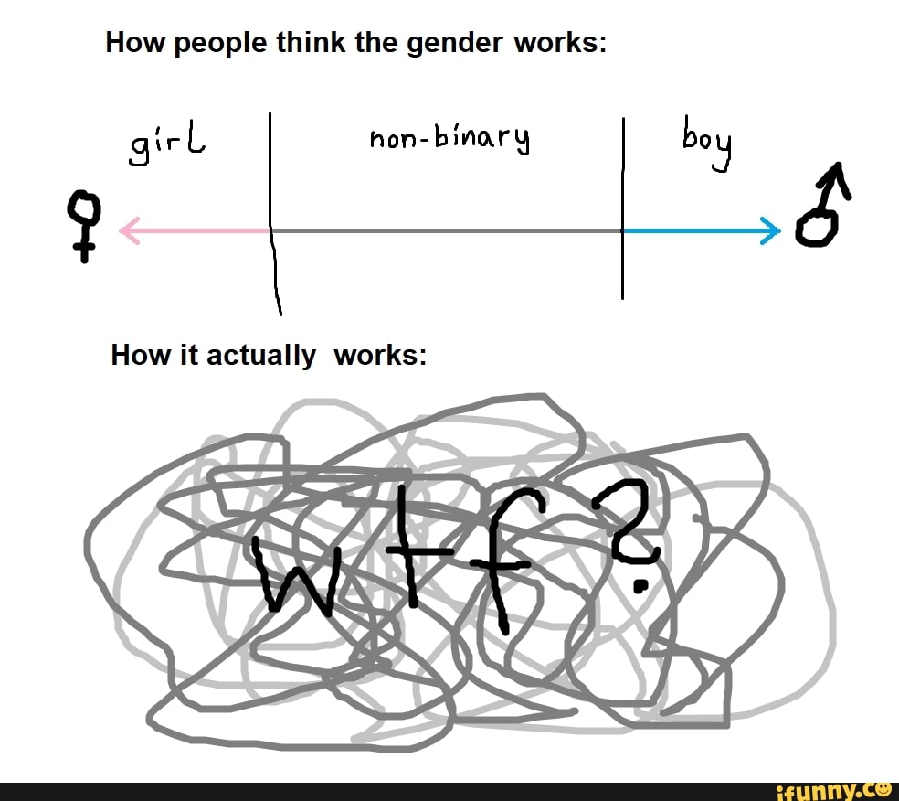 How people think the gender works: girl hon-binary I boy How it ...