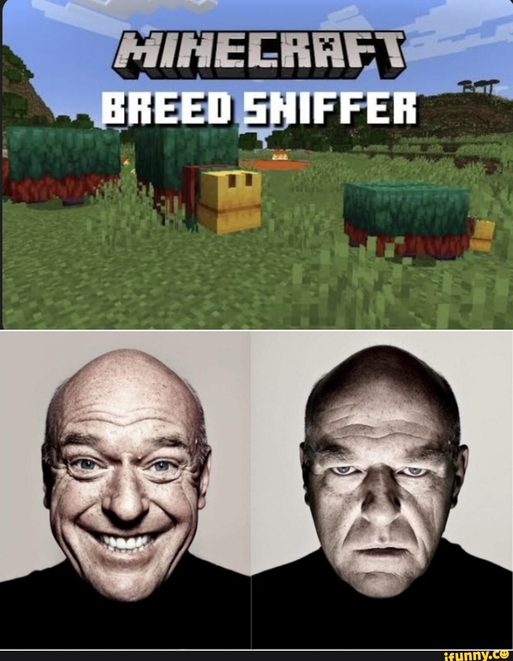 Shiffer memes. Best Collection of funny Shiffer pictures on iFunny