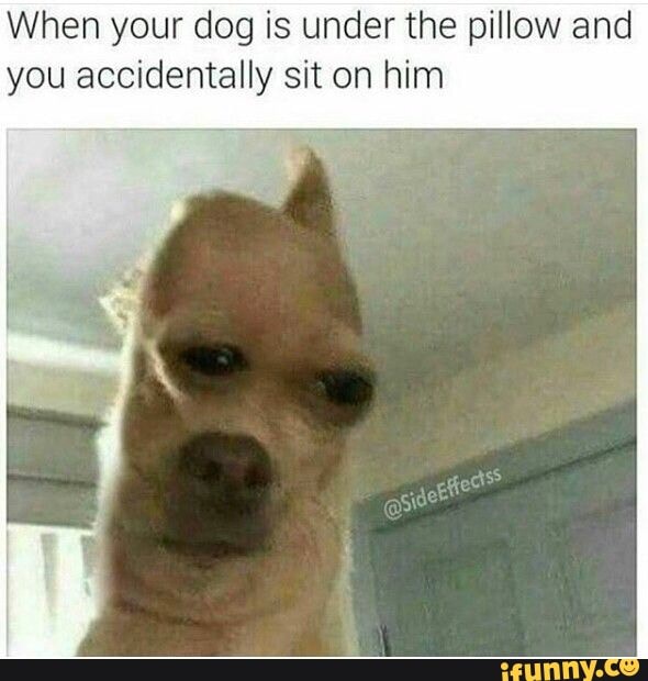 Ooooooooooooooooooooooooooo memes. Best Collection of funny ...