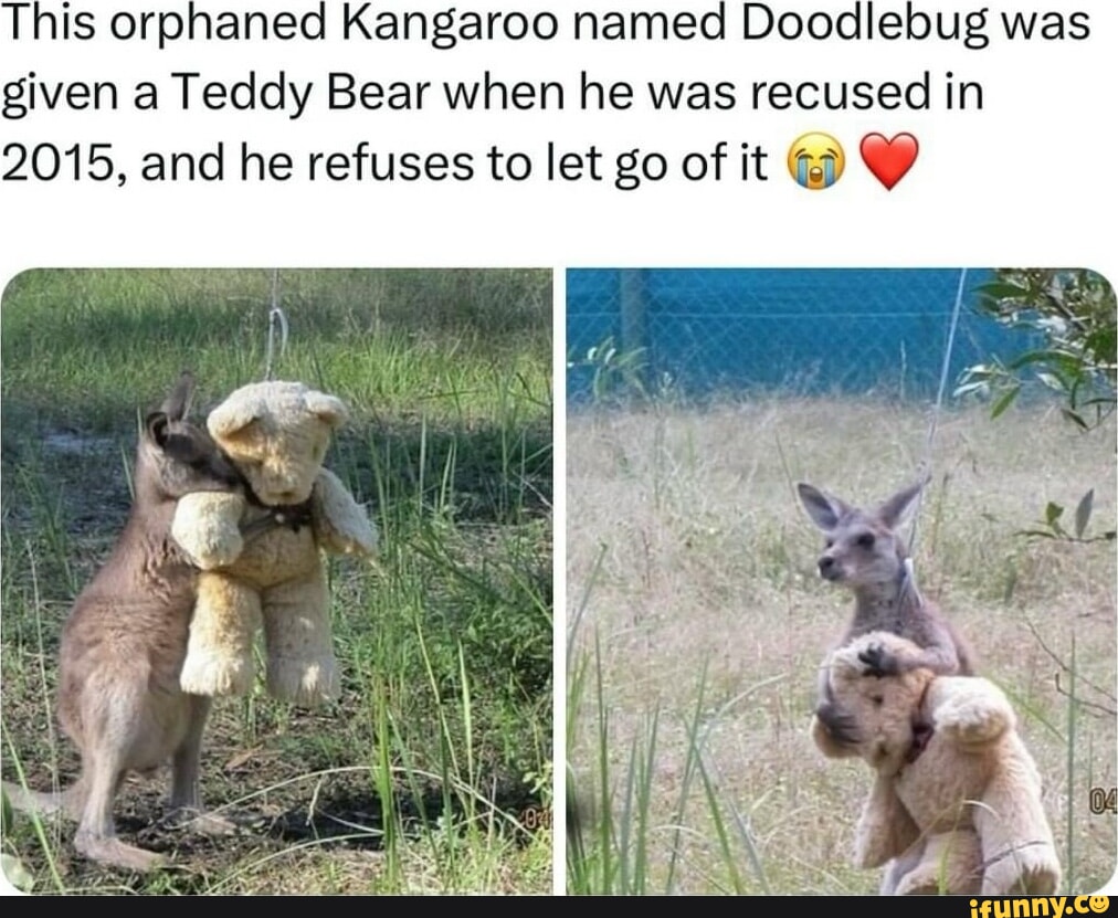 WF Usur CAilthood Ruimed Eat My Cooter Dust YOU LITTLE SHITS! By Dr ...