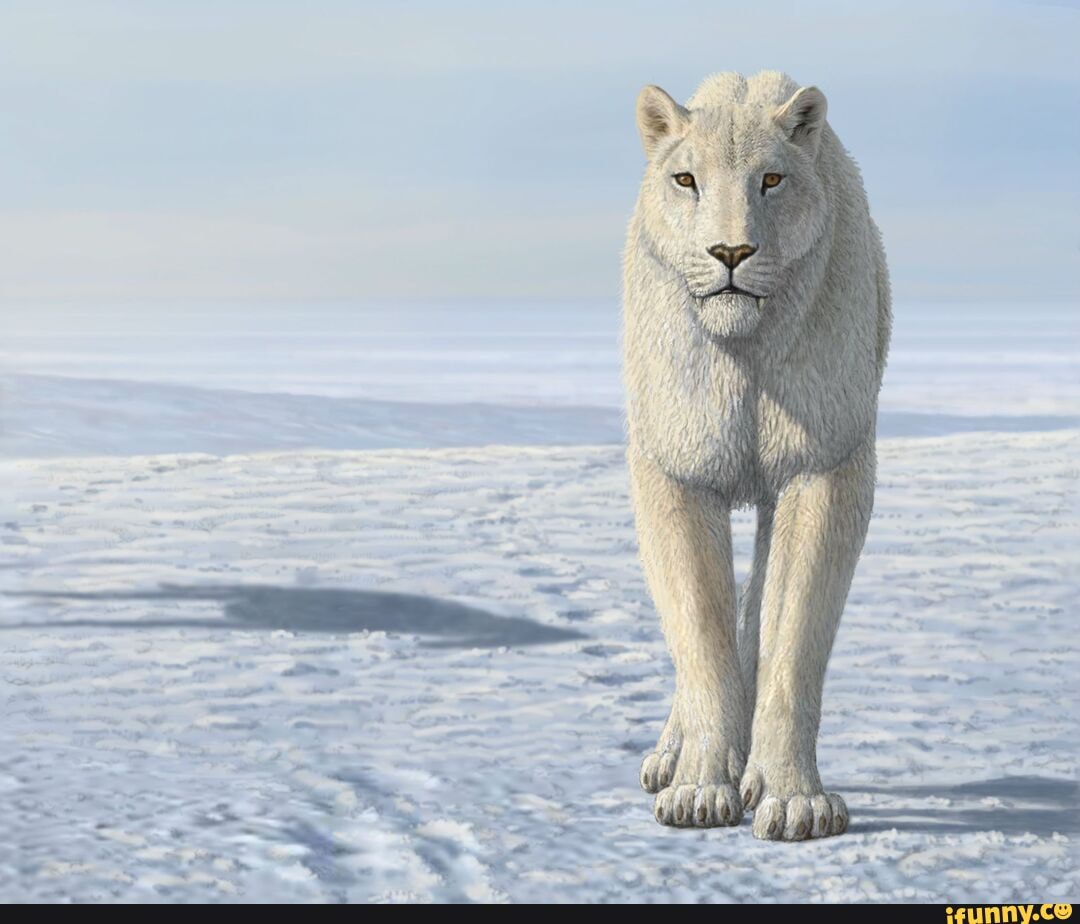 A feline Homotherium stalks the frozen North (art by Mauricio Anton ...