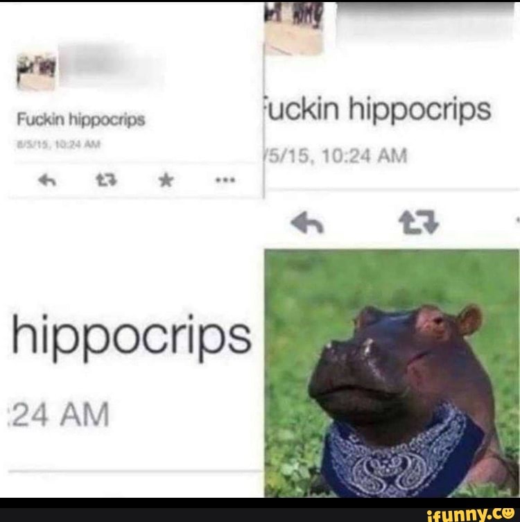Hippocrips memes. Best Collection of funny Hippocrips pictures on iFunny