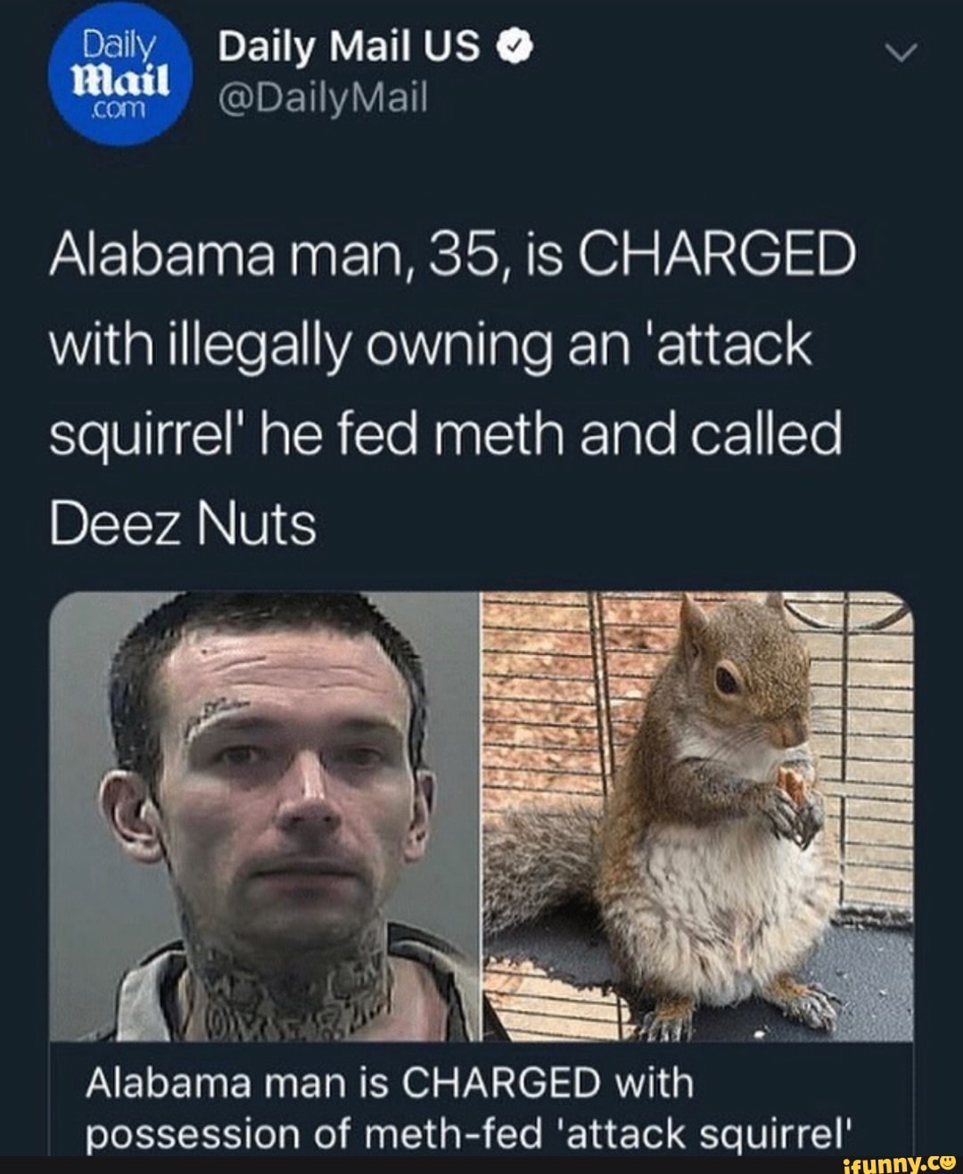 Apailymail memes. Best Collection of funny Apailymail pictures on iFunny