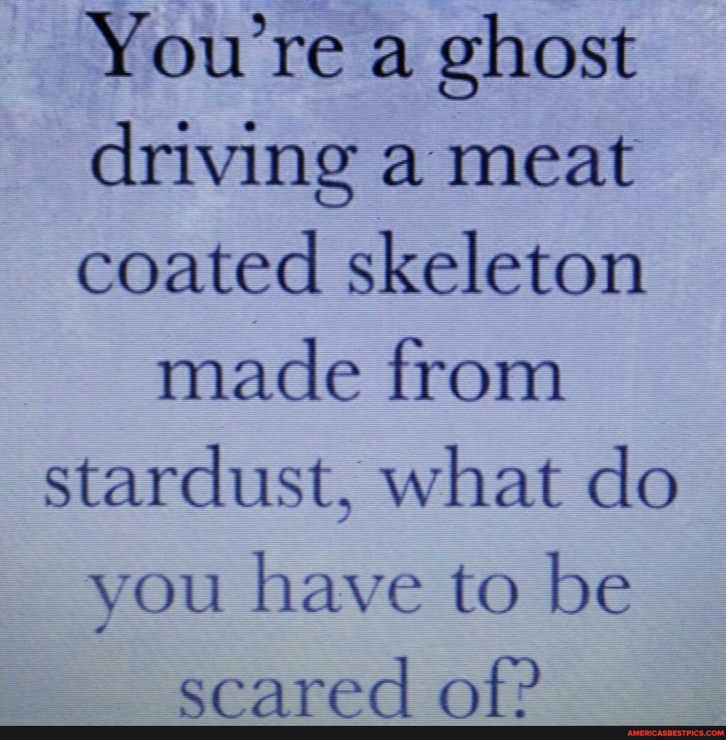 You're a ghost driving a meat coated skeleton made from stardust, what ...