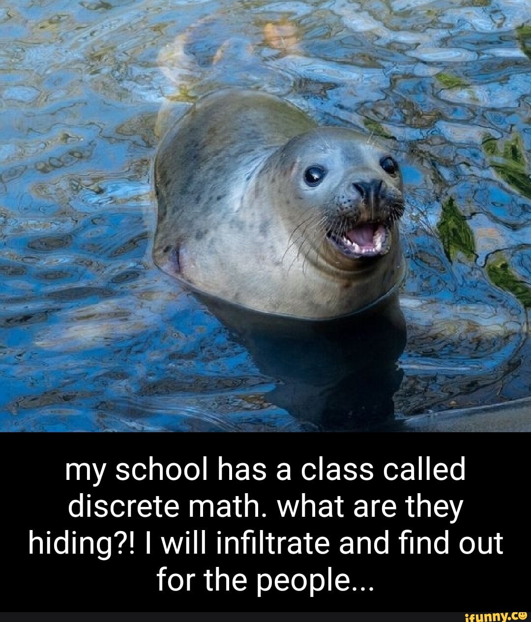 Discrete memes. Best Collection of funny Discrete pictures on iFunny