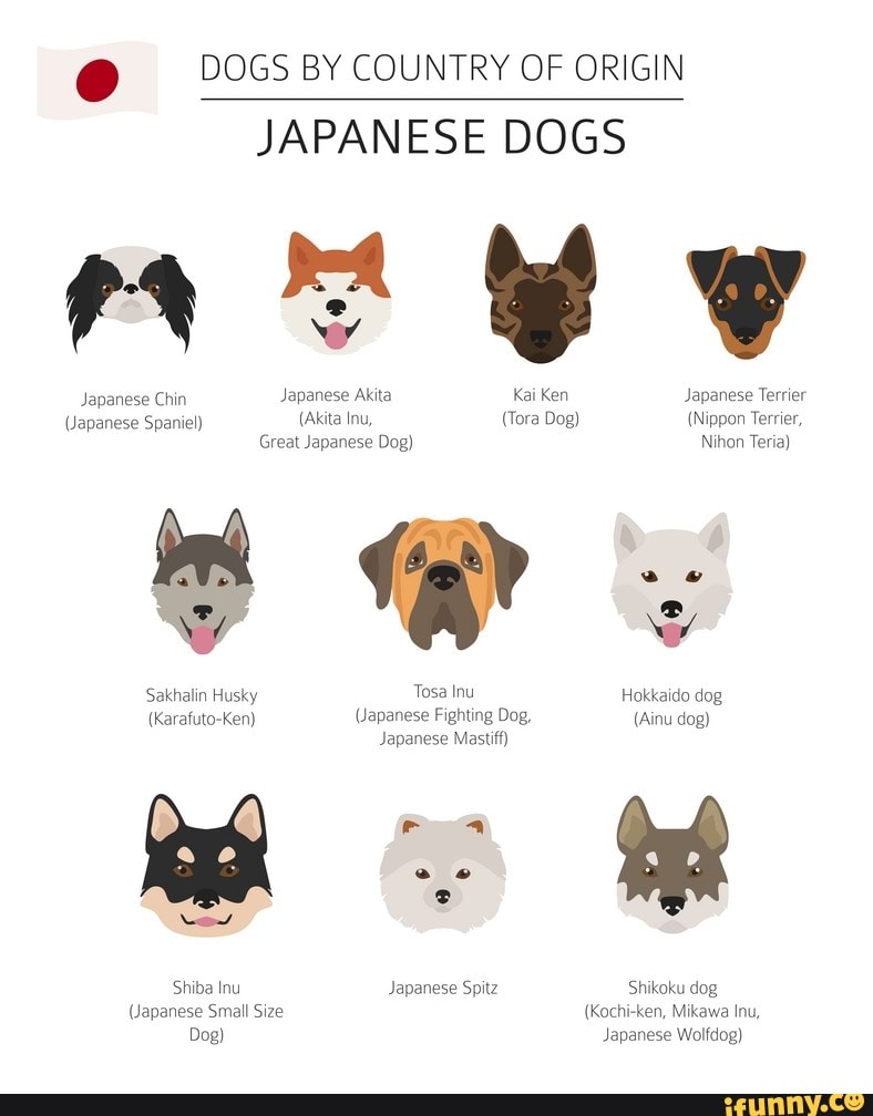 @ DOGS BY COUNTRY OF ORIGIN JAPANESE DOGS Japanese Chin Japanese Akita Kai Ken Japanese Terrier ...