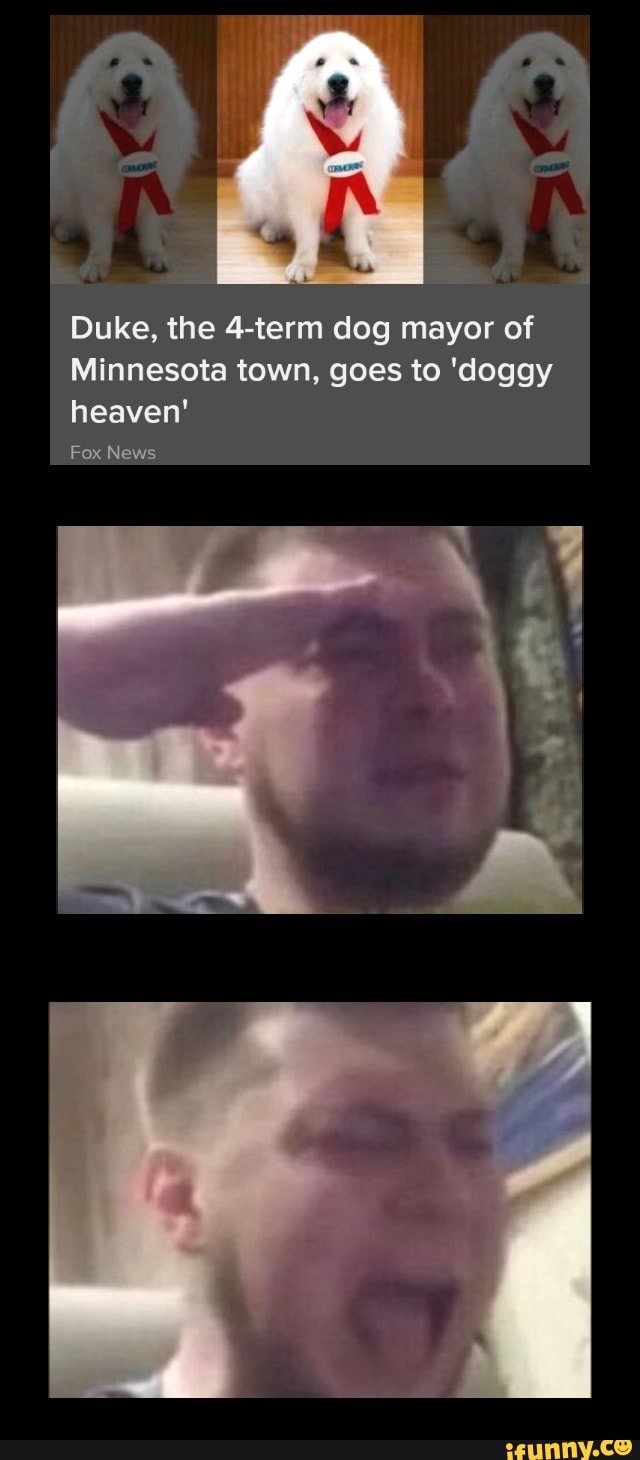 Duke, the 4-term dog mayor of Minnesota town, goes to 'doggy heaven ...