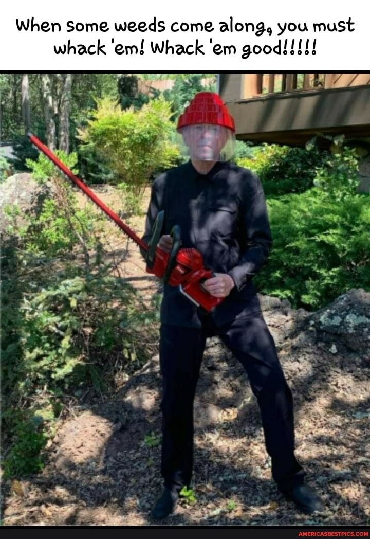 When Some weeds come along, you must whack 'em! Whack 'em good ...