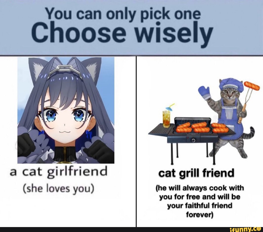 You can only pick one Choose wisely a cat girlfriend (she loves you ...