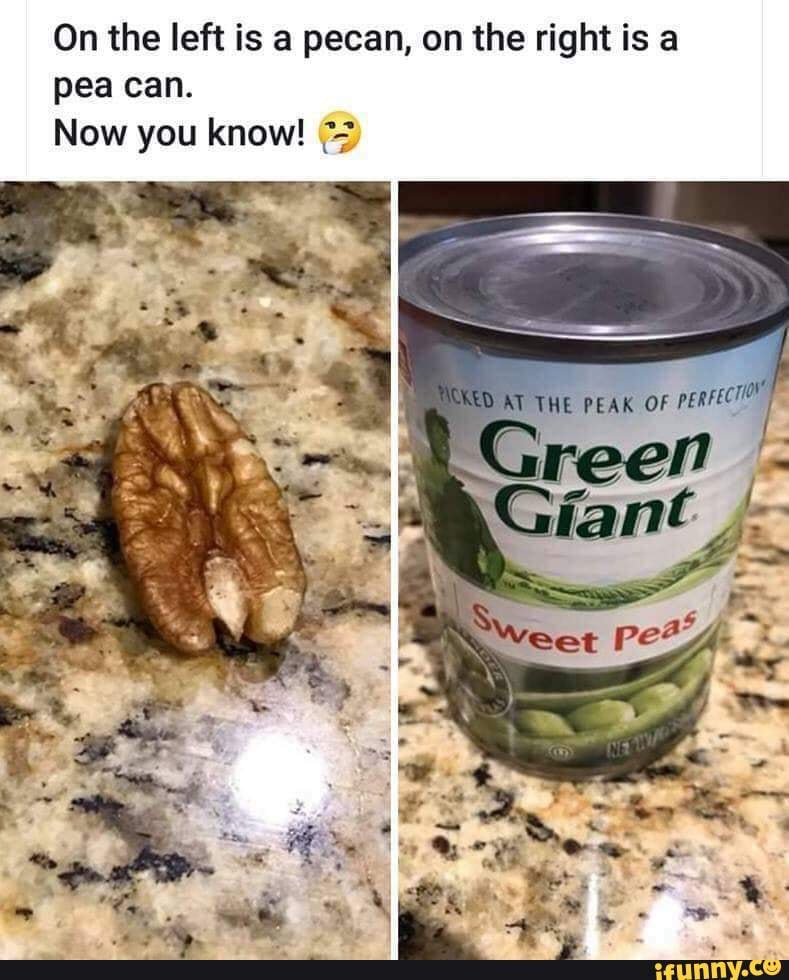 Pecan memes. Best Collection of funny Pecan pictures on iFunny