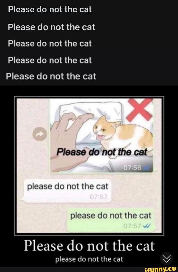 Please do not the cat Please do not the cat Please do not the cat ...