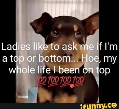 Figglebottimmale memes. Best Collection of funny Figglebottimmale ...