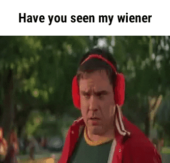 There's something about Mary - Have you seen my wiener - iFunny