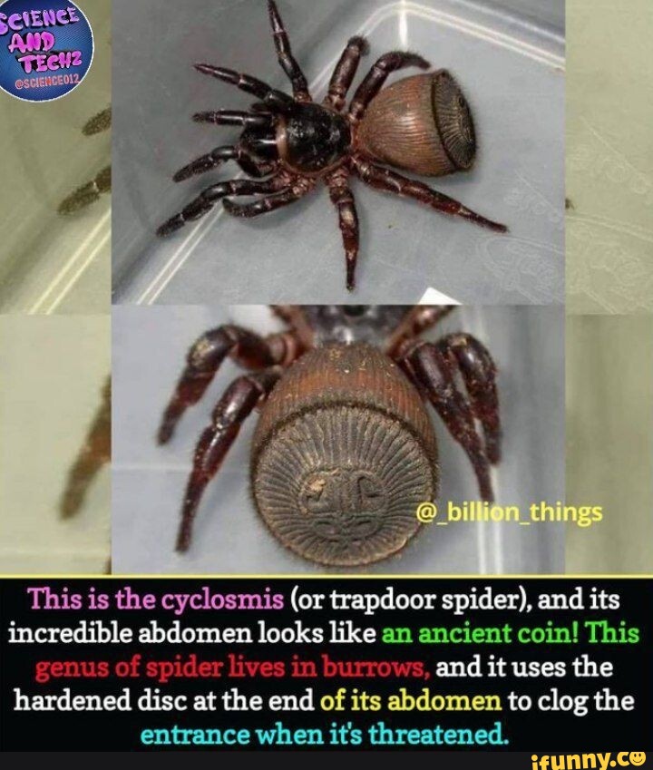 Picture memes 321ij6vfA by Sonial_Chic: 2 comments - iFunny