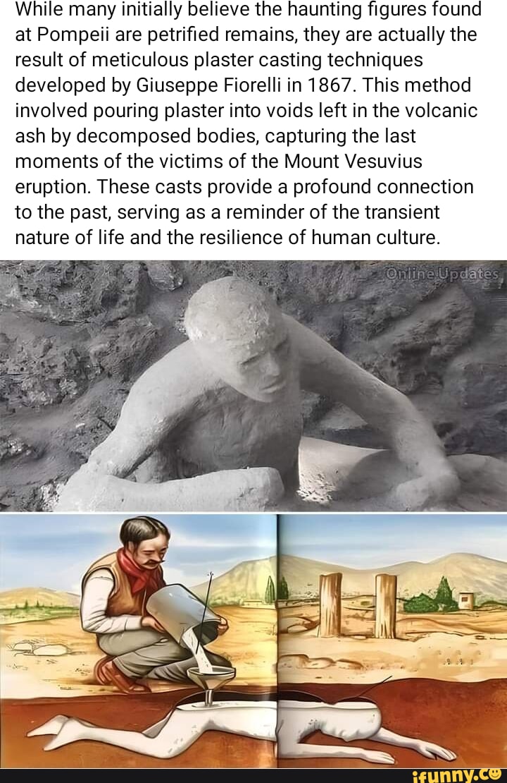 Plaster memes. Best Collection of funny Plaster pictures on iFunny