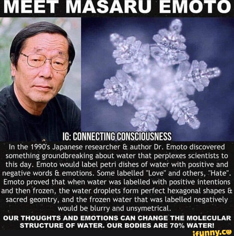 MEET MASARU EMOTO CONNECTING In the 1990's Japanese researcher & author ...