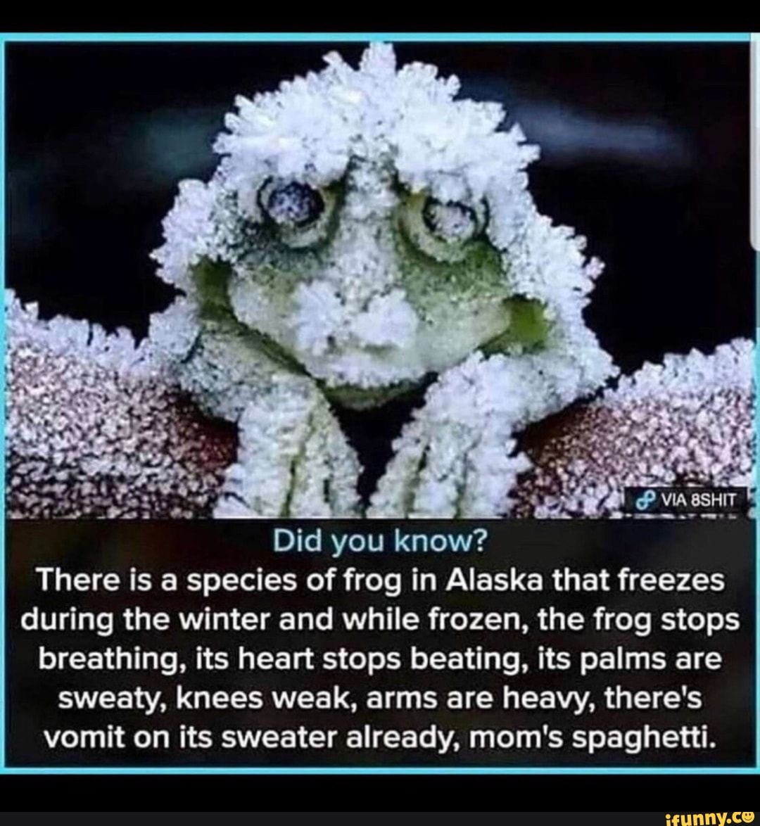 Did you know? There is a species of frog in Alaska that freezes during ...