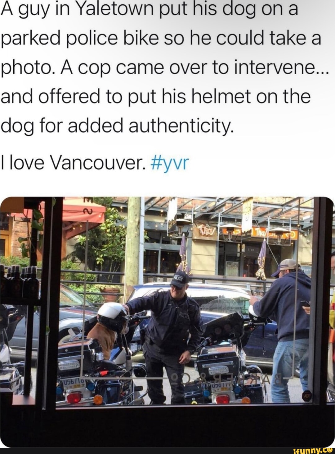 Intervene memes. Best Collection of funny Intervene pictures on iFunny