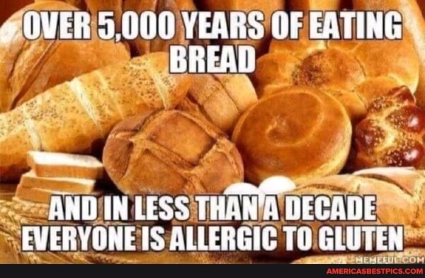 OVER 5.000 YEARS Uf EATING BREAD he AND IN LESS THAN DECADE EVERYONE (S ...