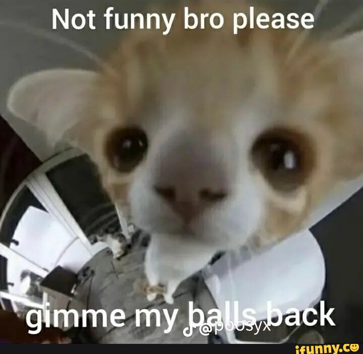 Not funny bro please imme my falls,back - iFunny