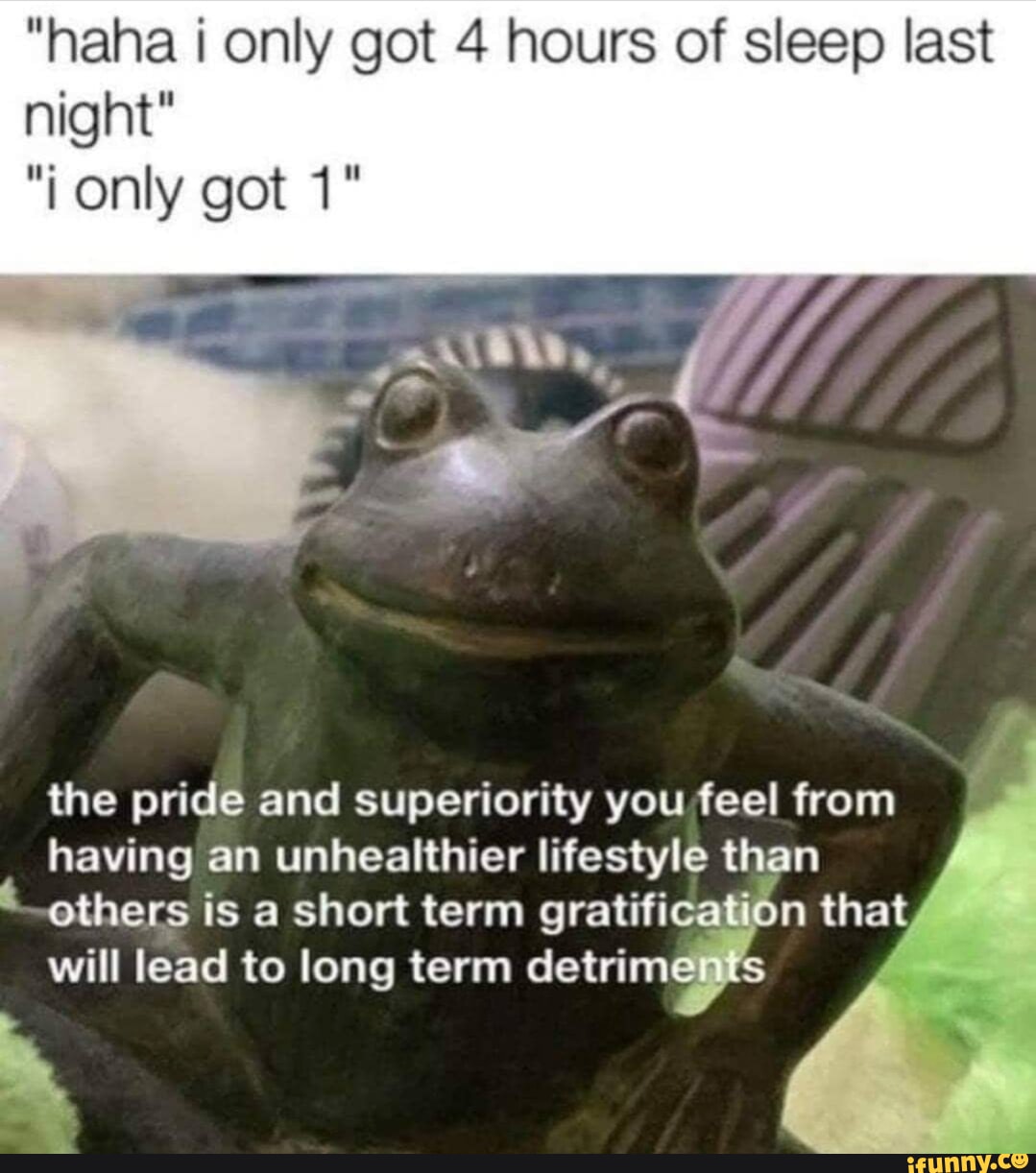 Gratification memes. Best Collection of funny Gratification pictures on ...