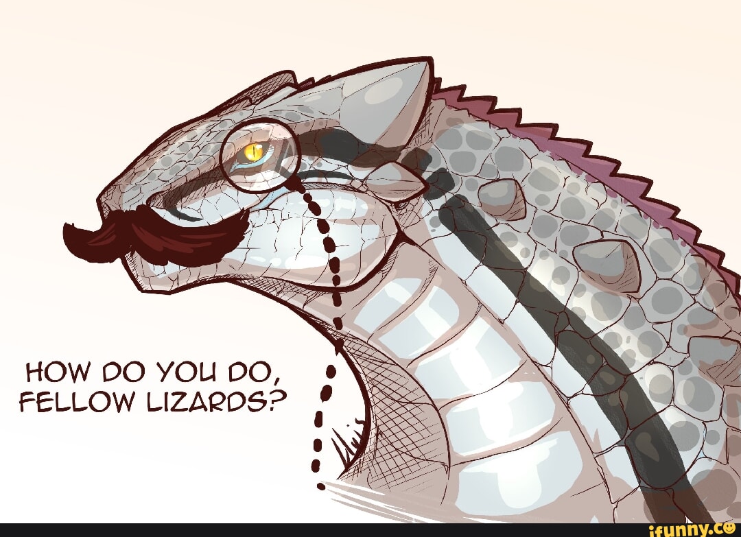 Lizard memes. Best Collection of funny Lizard pictures on iFunny