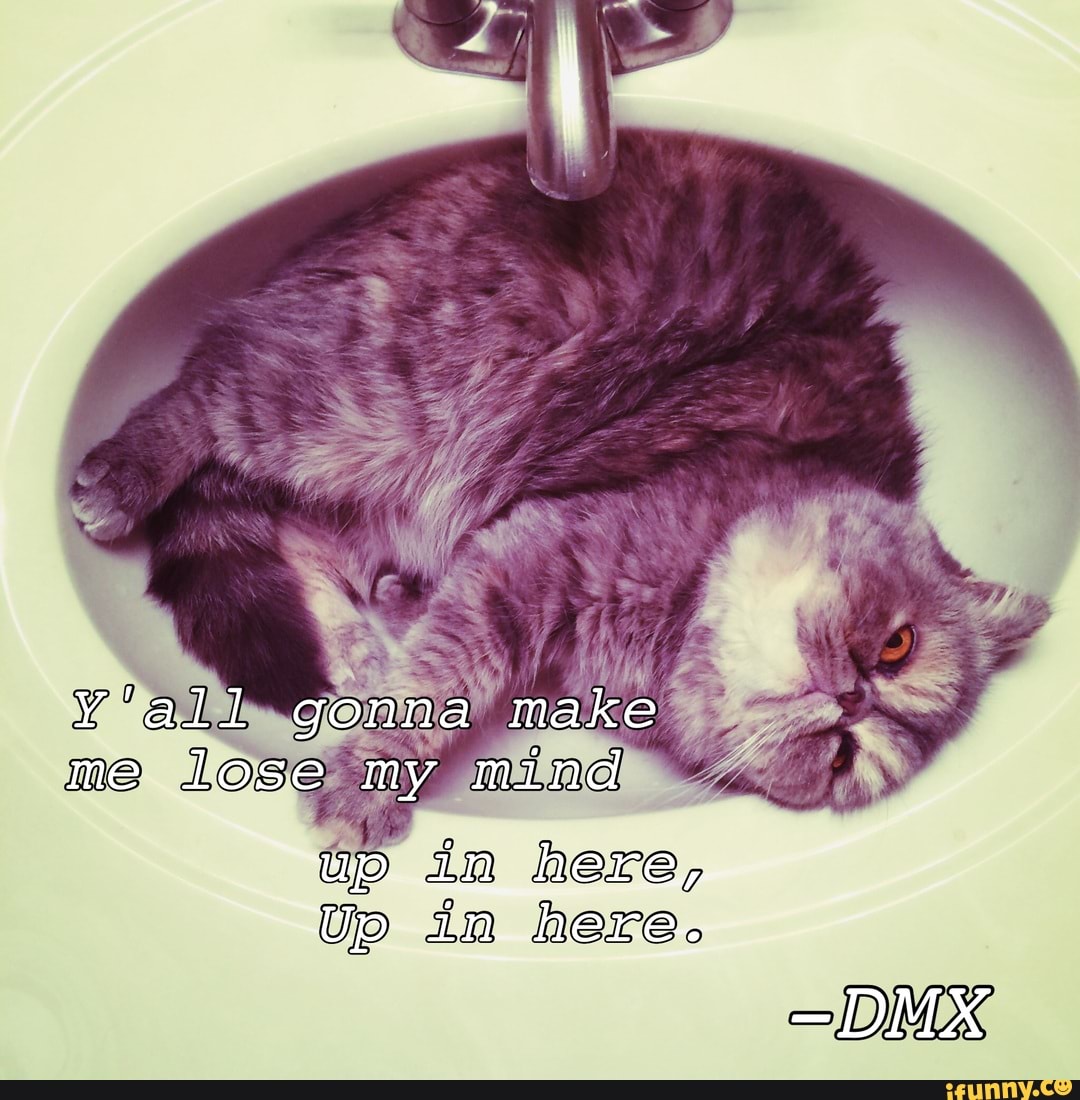 Rap Cats - Y'all gonna make me lose my mind up in here, Up in here ...