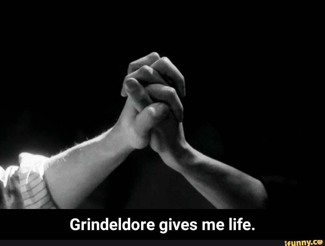 Grindeldore memes. Best Collection of funny Grindeldore pictures on iFunny