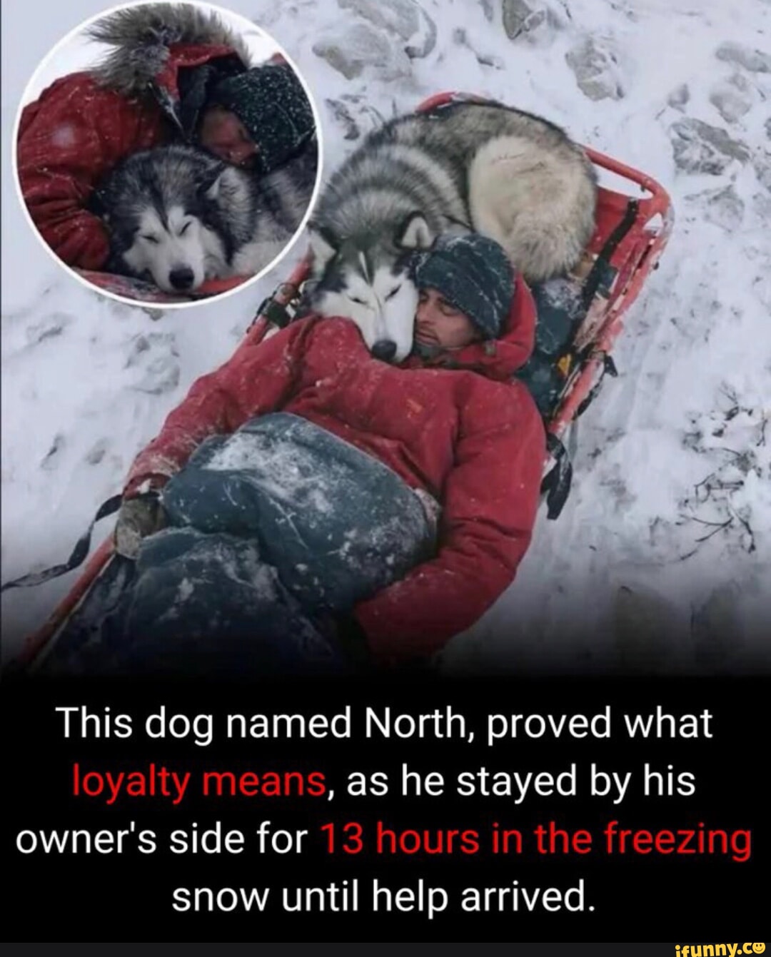 iFunny - the best memes, video, gifs and funny pics in one place