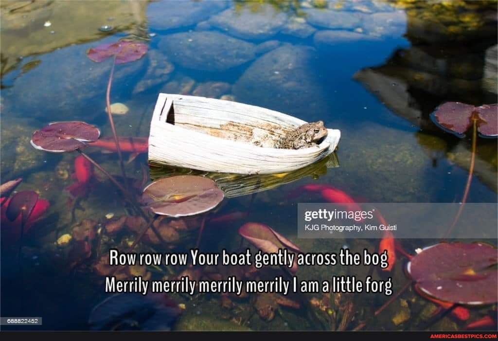 Gettyii KJG Photography, Kim Guisti Row row row Your boat gently across ...