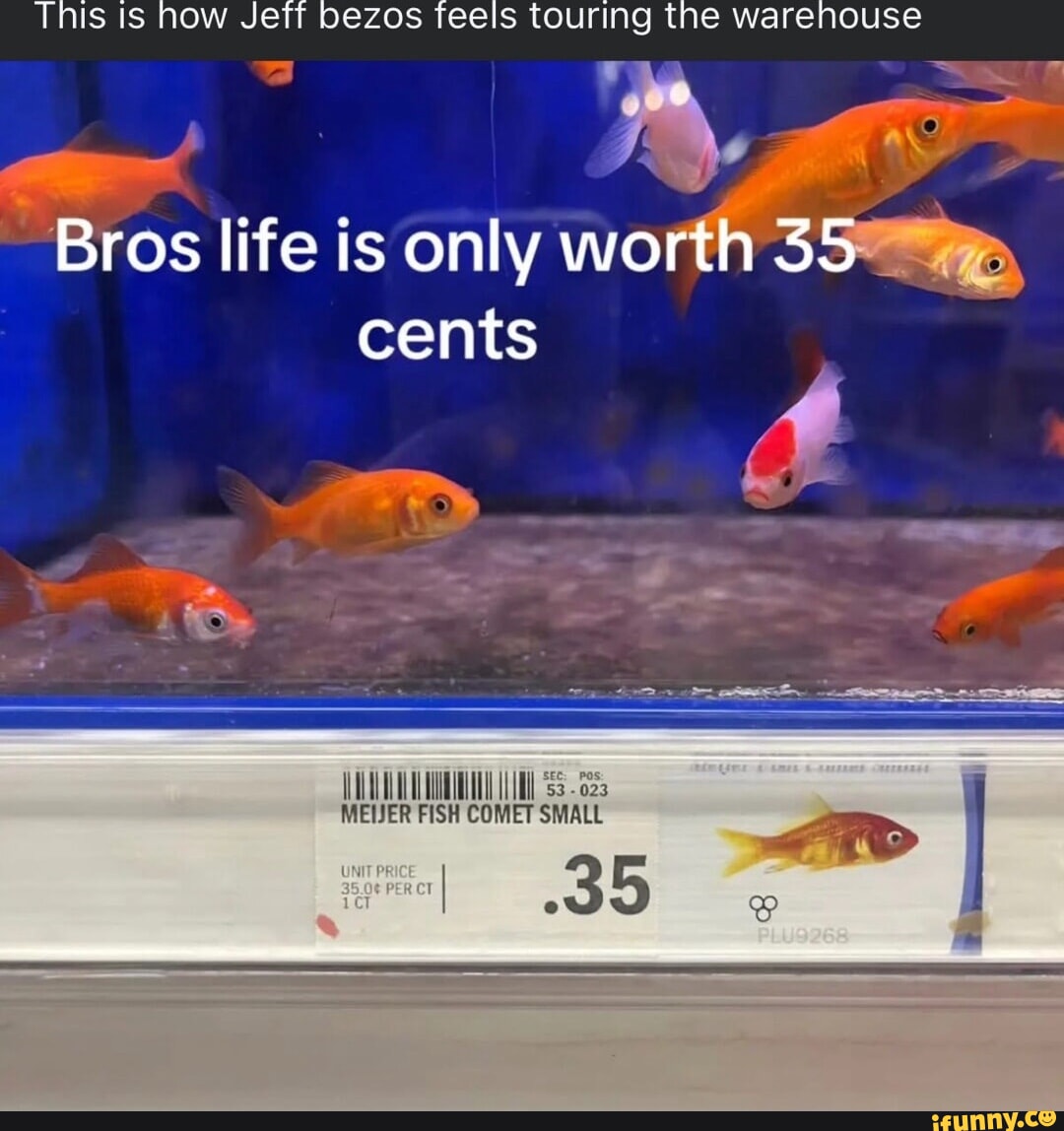This is how Jeff bezos feels touring the warehouse Bros life is only ...