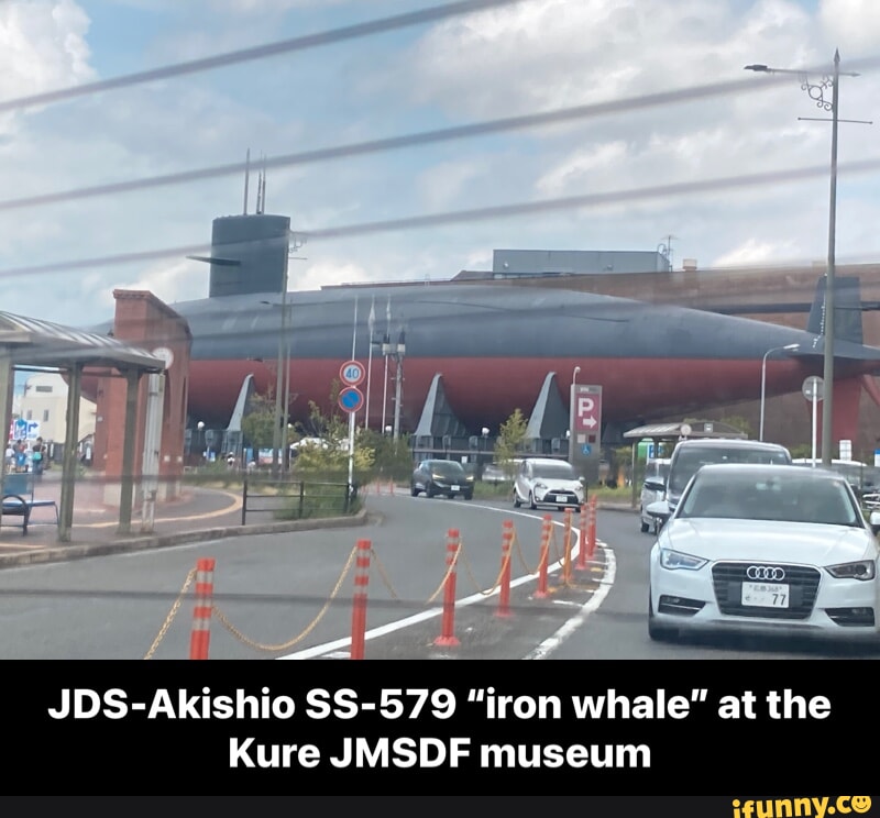 Jmsdf memes. Best Collection of funny Jmsdf pictures on iFunny