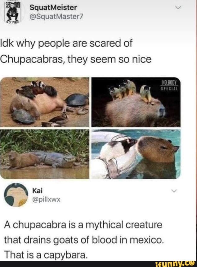 Chupacabra memes. Best Collection of funny Chupacabra pictures on iFunny