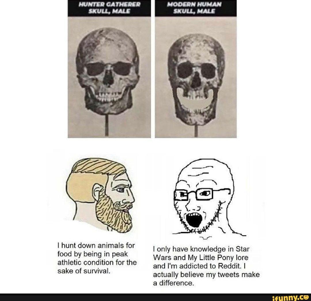 HUNTER CATHERER MODERN HUMAN SKULL, MALE SKULL, MALE I hunt down ...