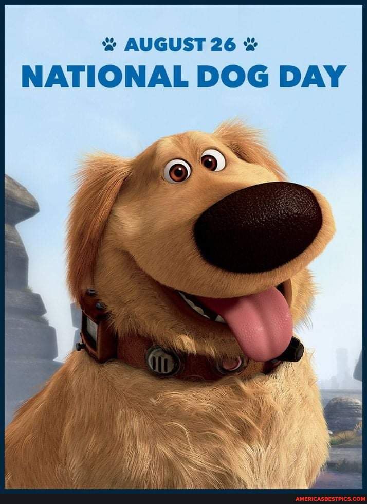 😃 August 26th is National Dog Day! 😃 Good Morning! Have A Great ...