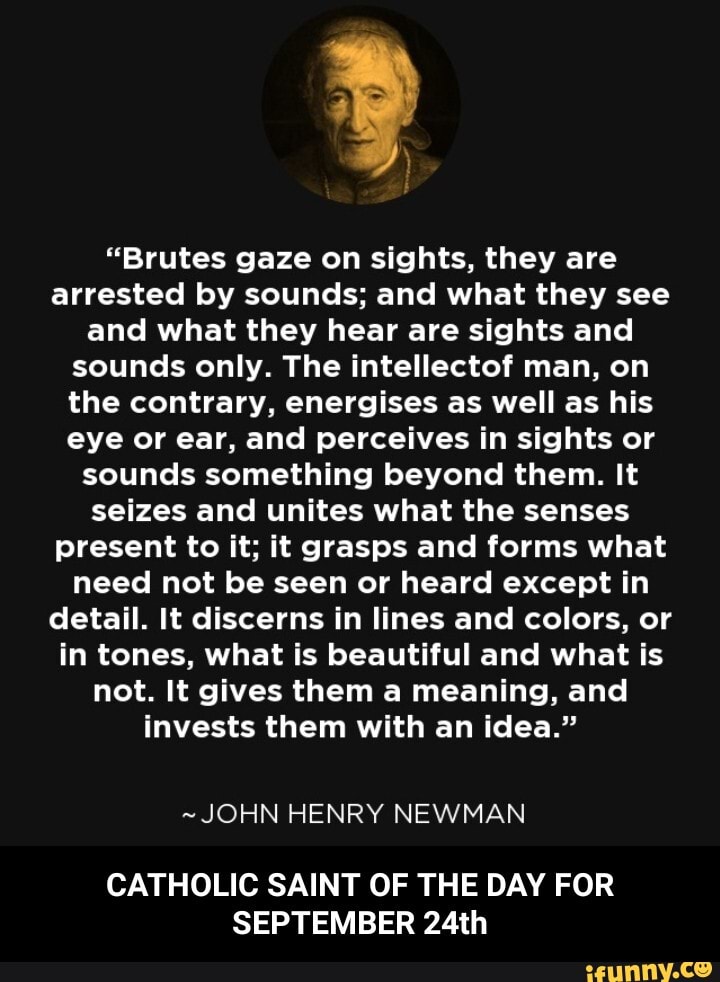 Sights memes. Best Collection of funny Sights pictures on iFunny