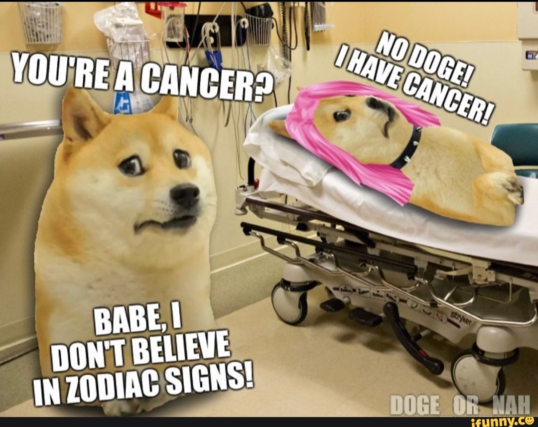 Ncp memes. Best Collection of funny Ncp pictures on iFunny