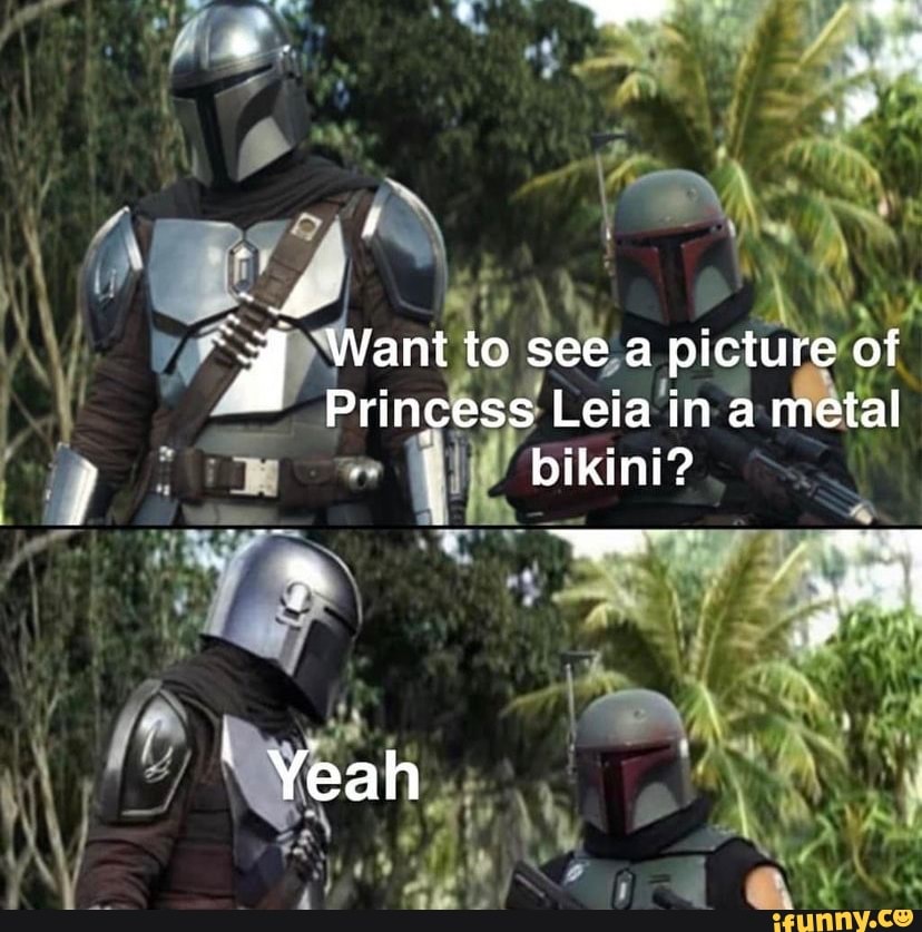 D Want te to see a Leia picture ina of metal Princess Leia in a metal ...