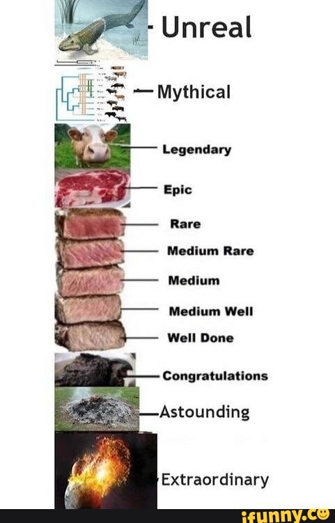 Unreal Mythical Legendary Epic Rare Medium Rare Medium Medium Well Well ...