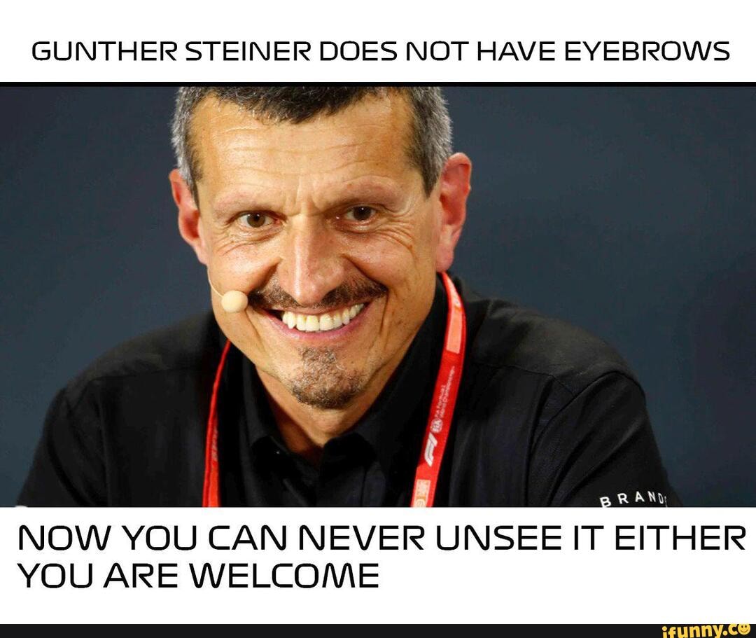 GUNTHER STEINER DOES NOT HAVE EYEBROWS me. - oX* I RAND NOW YOU CAN ...