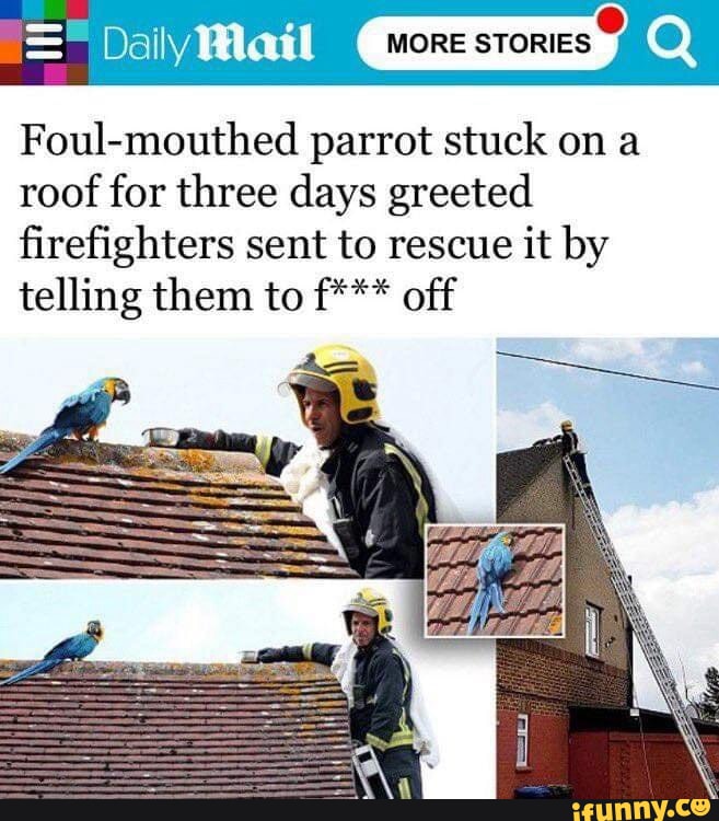 Mail memes. Best Collection of funny Mail pictures on iFunny